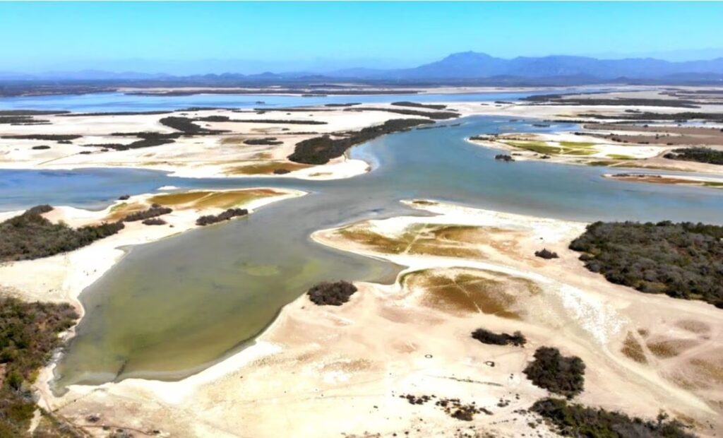 Declaran Área Natural Protegida casi 2 mil 500 hectáreas en Sinaloa ...